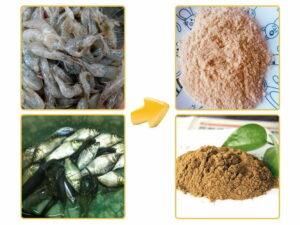 Fish Meal Production Line For Fish Powder And Oil Processing